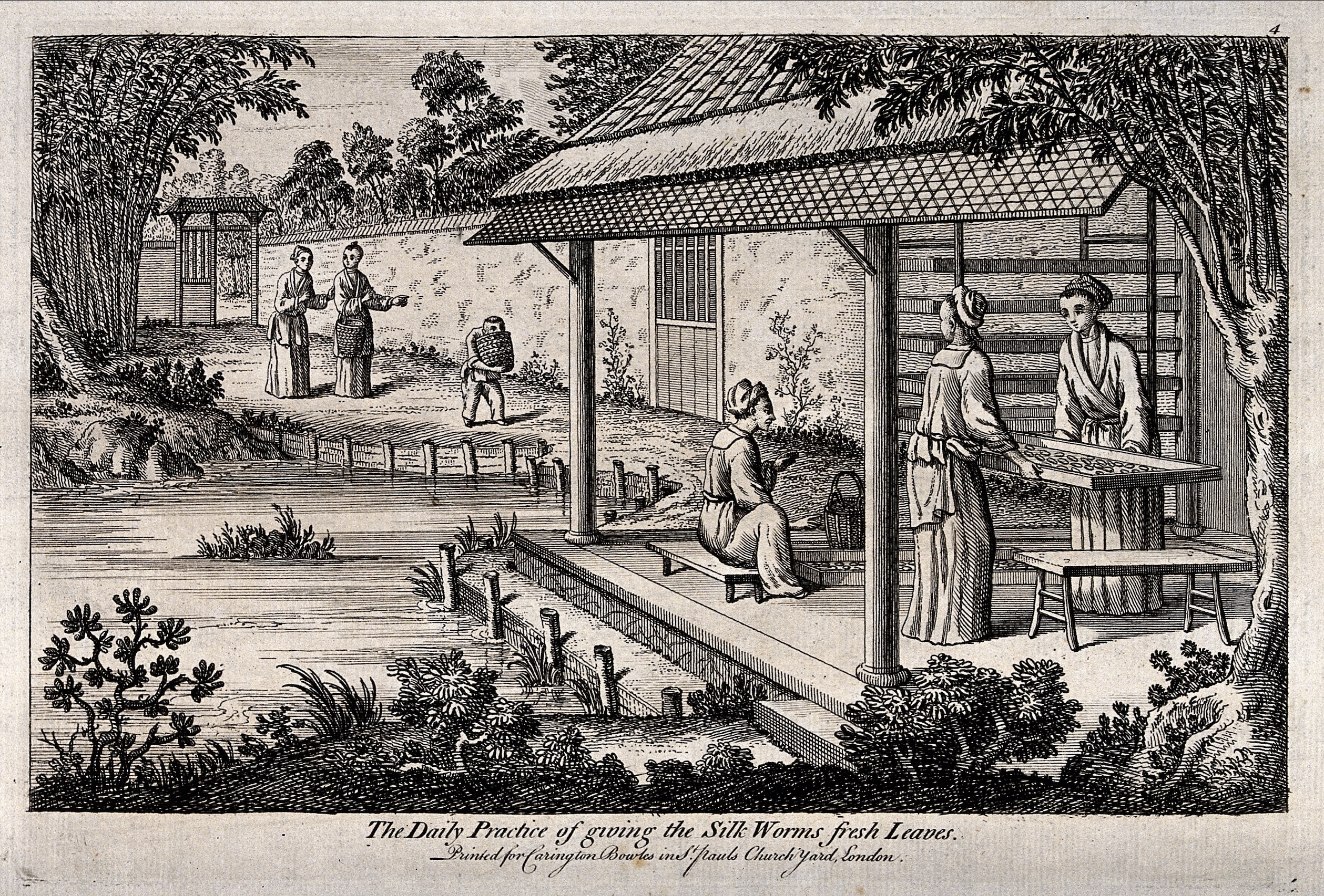 SILK AND SERICULTURE: 1740s to 1770s
